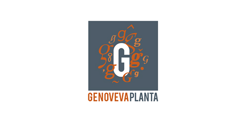 Genoveva | LogoMoose - Logo Inspiration