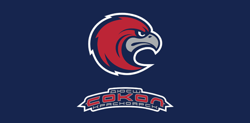 SOKOL KRASNOYARSK | LogoMoose - Logo Inspiration